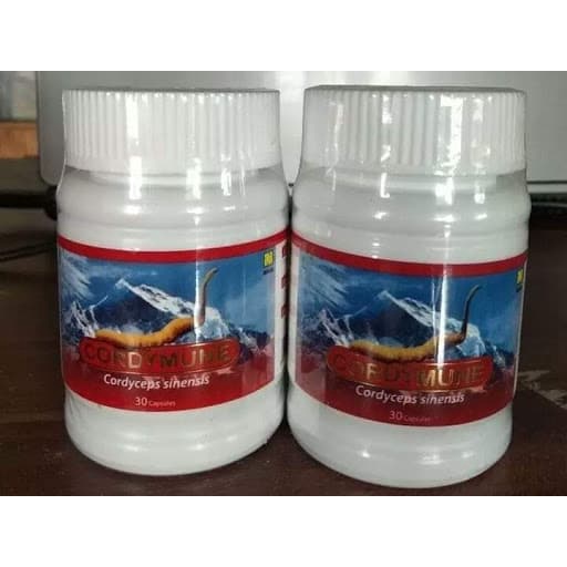 Jual Cordy Cordymune nasa Suplemen Meningkatkan Kekebalan Tubuh ...