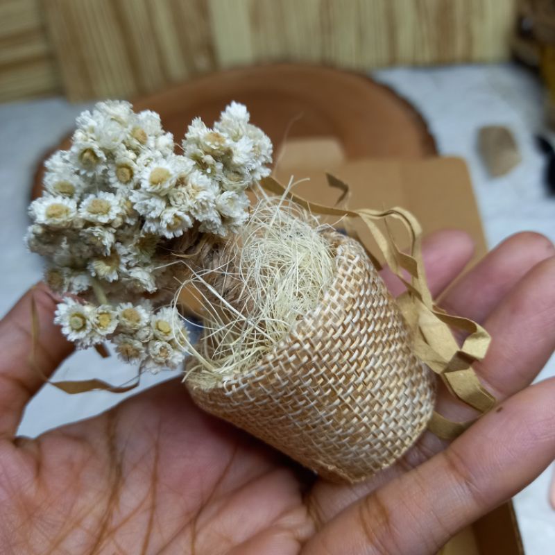 Jual Bouget buket mini bunga kering rustic / souvenir murah pernikahan ...