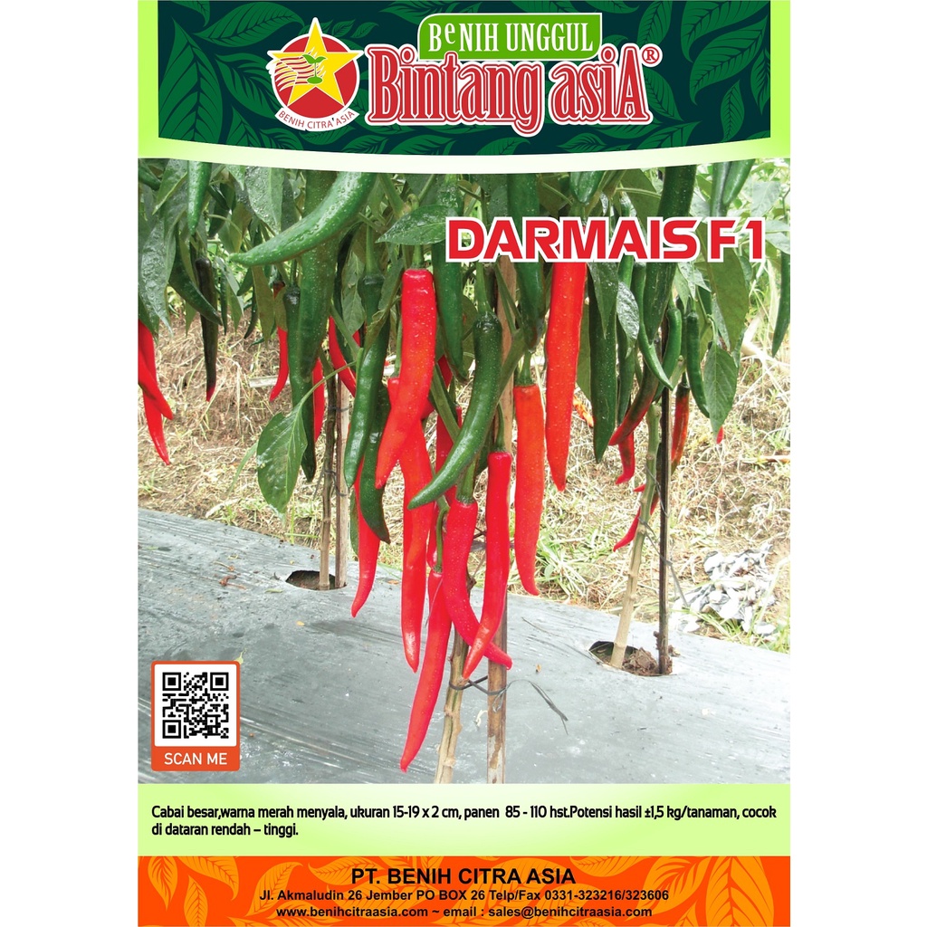 Jual ISI PAKET: 5 Bibit Cabe Merah Besar Hibrida F1 Darmais Benih Cabai ...