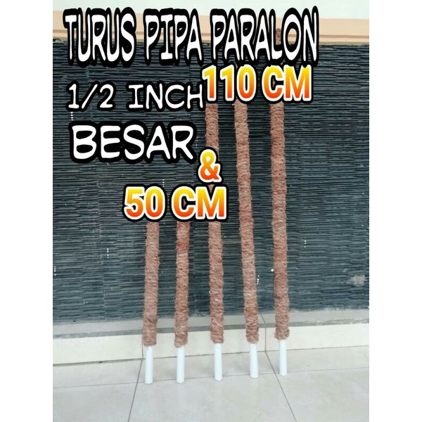 Jual Turus sambung penyangga tanaman penopang ajir tiang tongkat ...