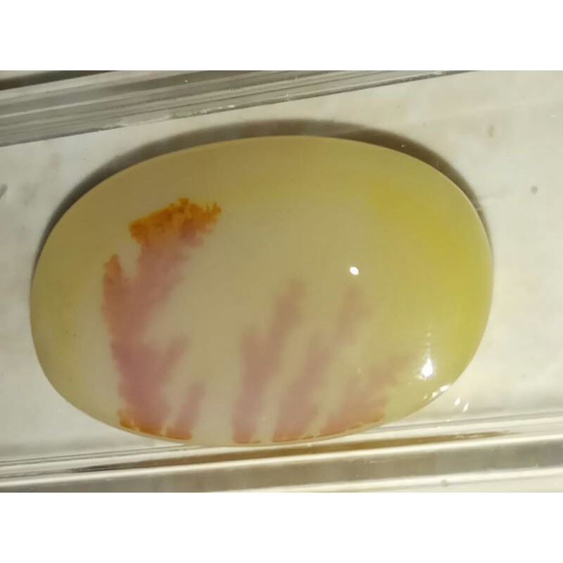 Jual Natural Dentritic Motif RUMPUT LAUT Rp60.000 | Shopee Indonesia