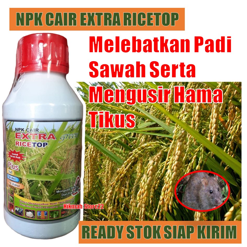 Jual Rice Top 500 Ml Melebatkan Padi Sawah Serta Mengusir Hama Tikus Dan Semua Hama Tanaman Padi ...