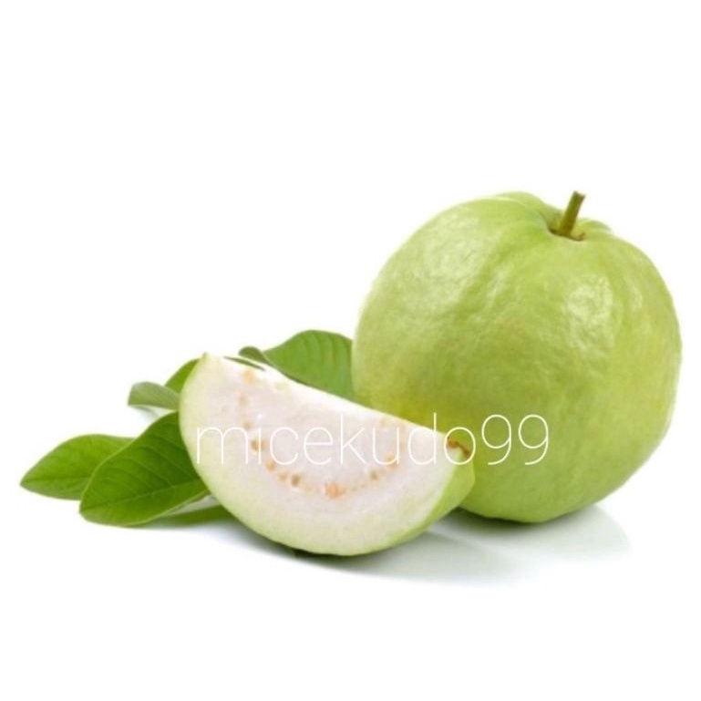 Jual JAMBU KRISTAL 1 KG SEGAR / BUAH JAMBU BIJI PUTIH FRESH BALI ...