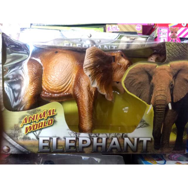 Jual Gajah jumbo.. | Shopee Indonesia