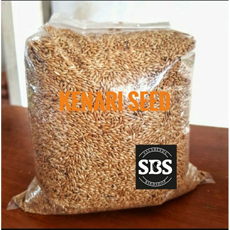 Jual KENARI SEED KEMASAN CURAH 1 KG | Shopee Indonesia