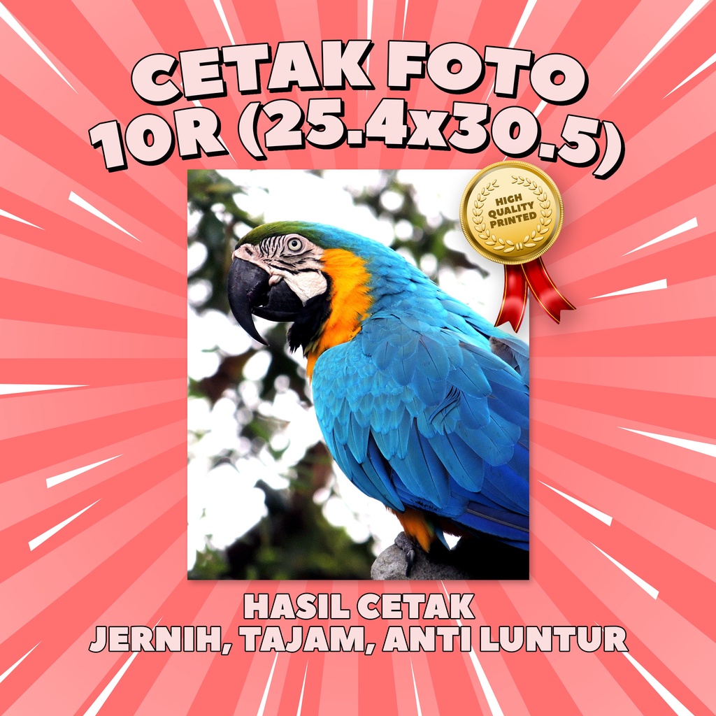 Jual Cetak Foto Ukuran 10R (25.4x30.5x) Prophoto Paper High Resolution ...