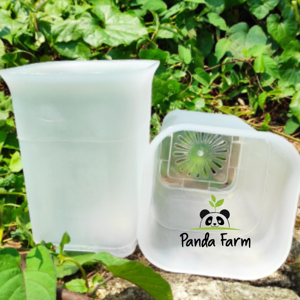 Jual Pot Tanaman Pot Bunga Pot Nkt Kotak 10 Berkualitas Dia 10cm ...