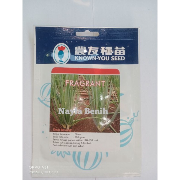 Jual Benih Loncang FRAGRANT kemasan 10 Gram - Know You Seed" | Shopee ...