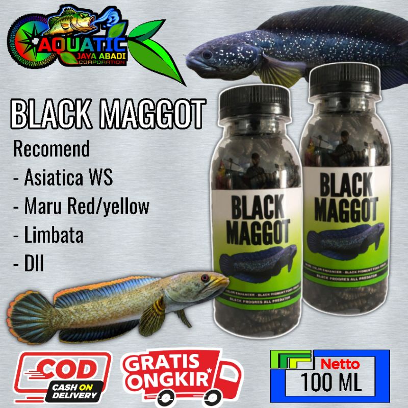 Jual Black Maggot Kemasan Botol 100ml Pakan Asiatica Ws | Shopee Indonesia