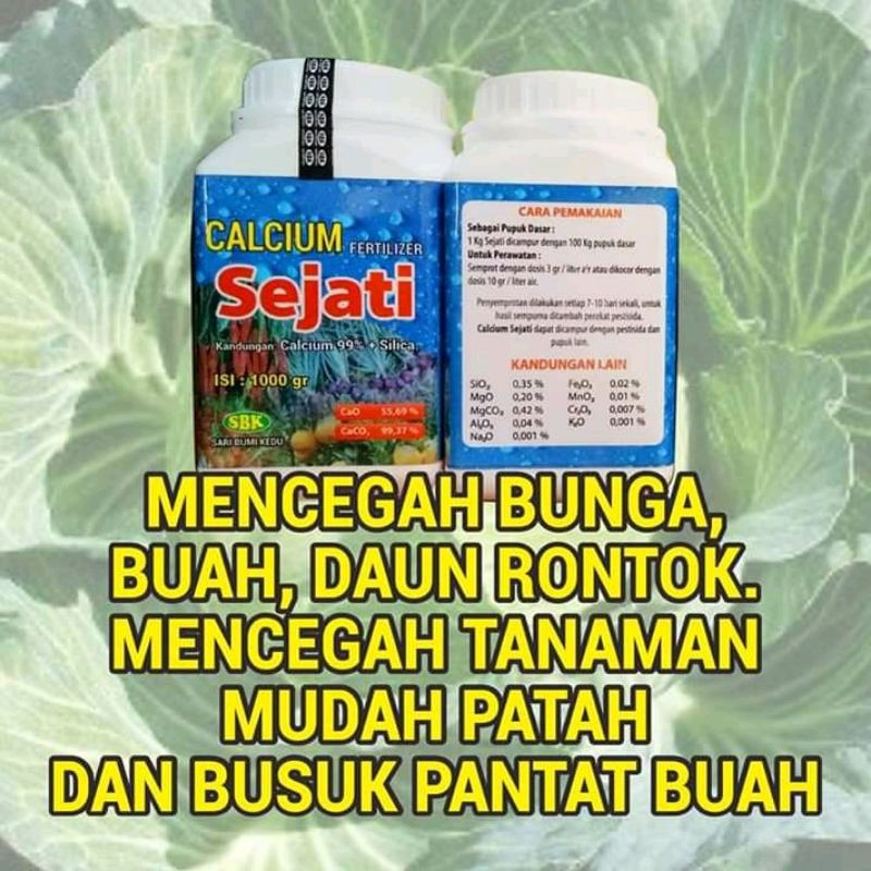 Jual "Calsium SEJATI" mengandung calsium 99% kemasan 1 Kg | Shopee ...