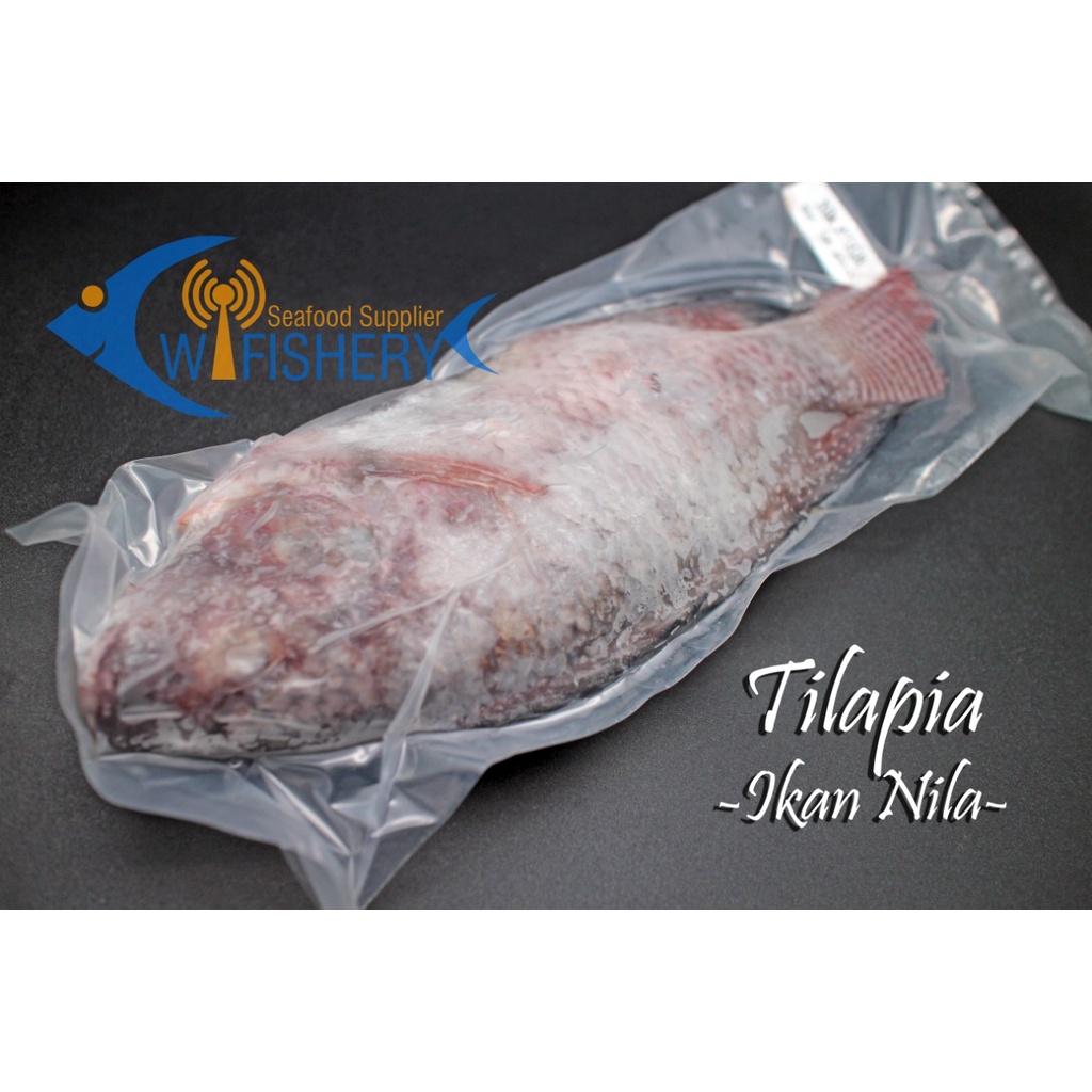 Jual Ikan Nila Utuh Bersih - Tilapia WGGS | Shopee Indonesia