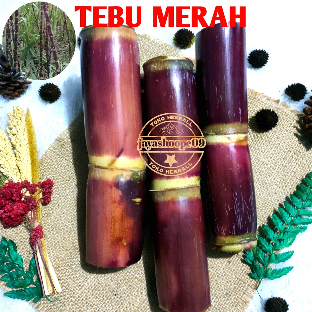 Jual Tebu manis 1-kg batang tebu manis - batang tebu merah manis ...
