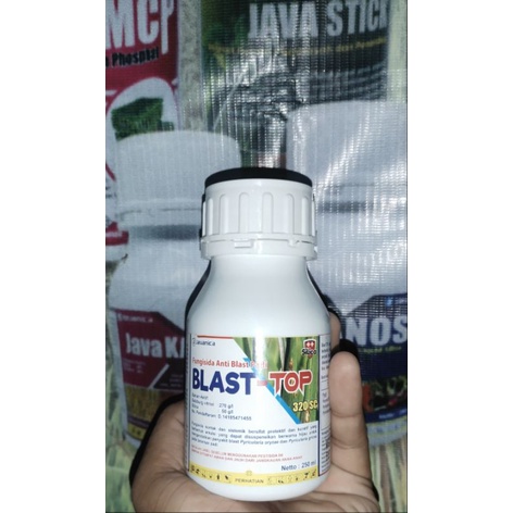 Jual FUNGISIDA BLAS TOP Anti Blast dan Kresek Khusus Untuk Padi EXP 01 ...