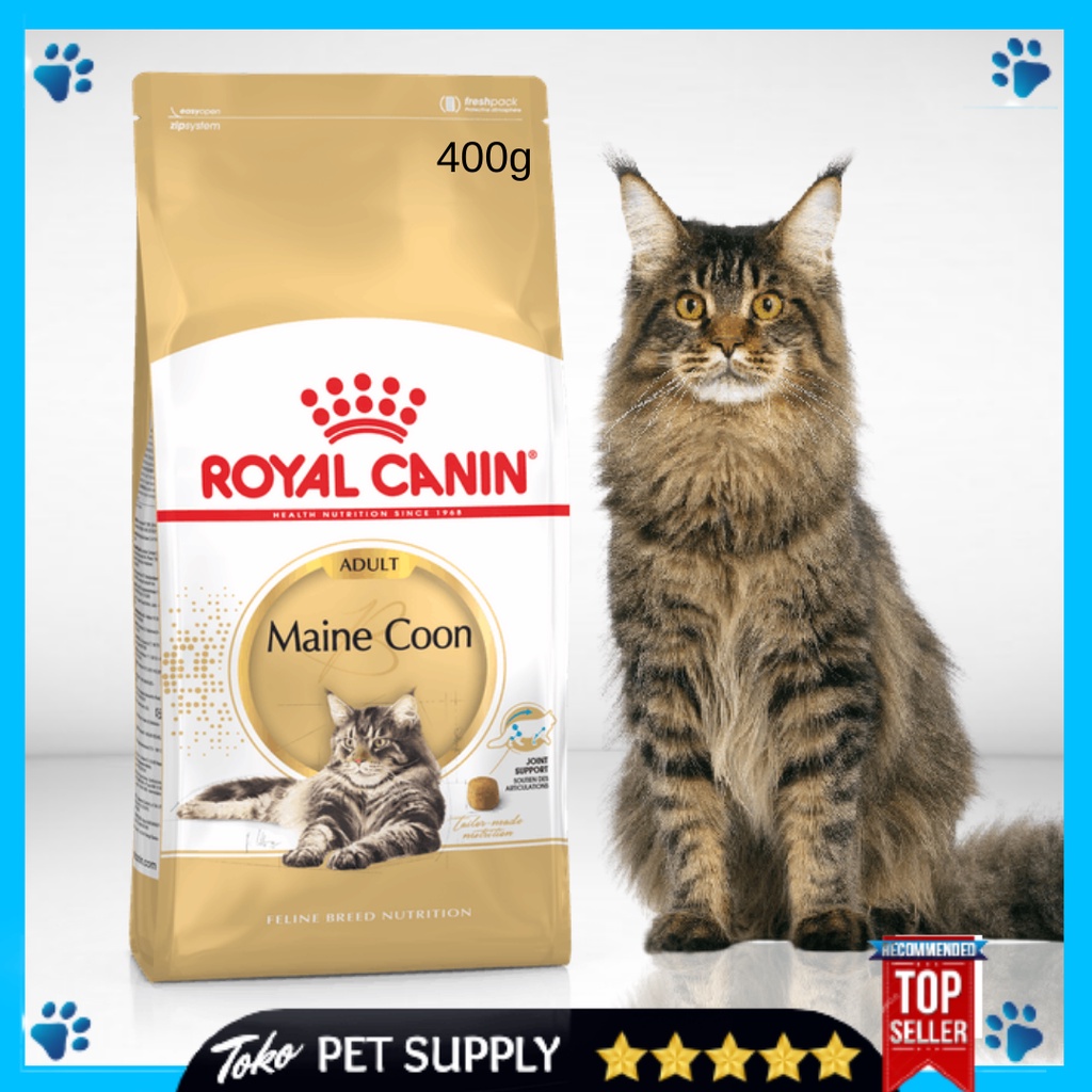 Jual Makanan Pakan Kucing Dewasa Royal Canin Maine Coon Adult 400g Cat ...
