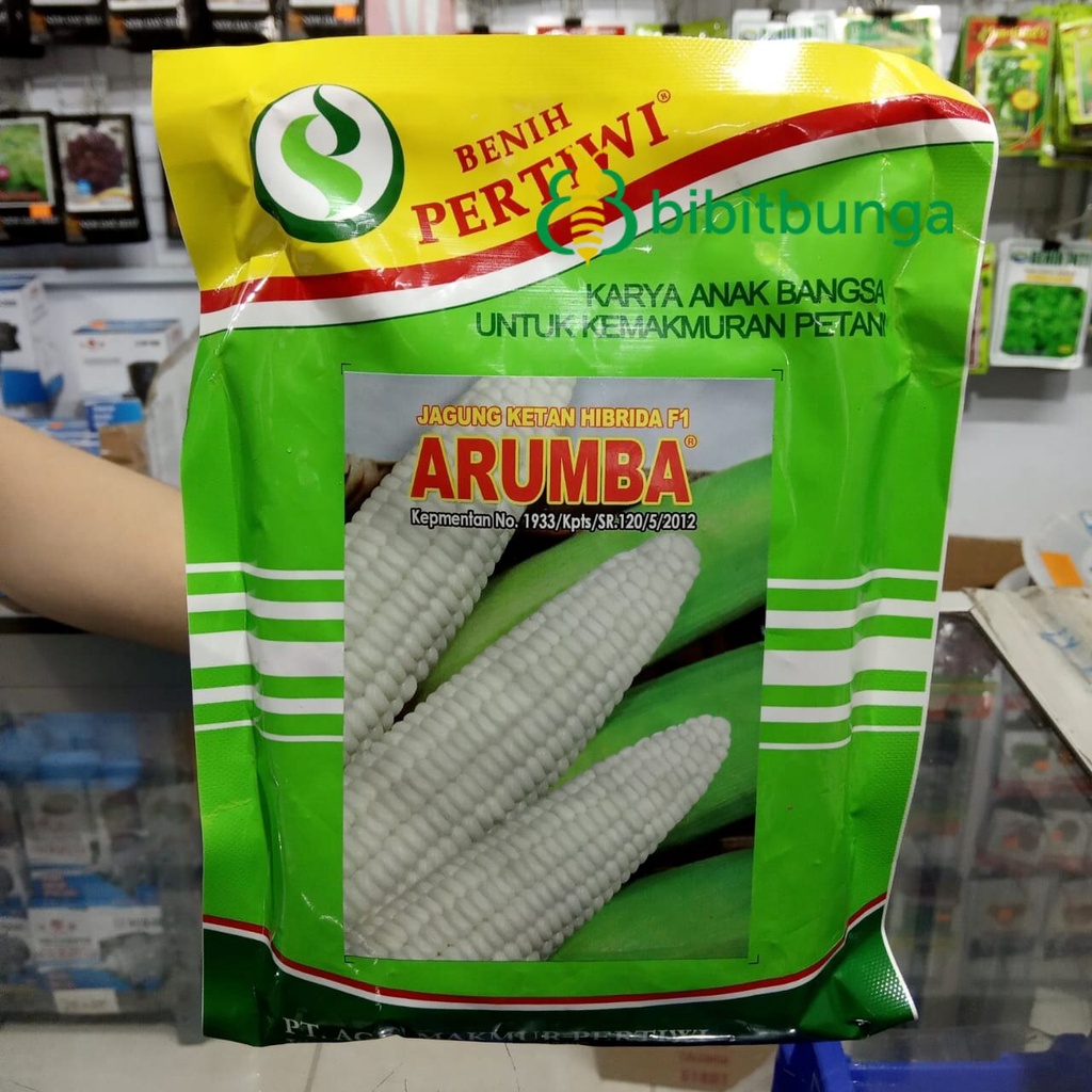 Jual Benih Bibit Jagung Manis Pulut Arumba F1 250 gram Ketan Putih Hibrida | Shopee Indonesia