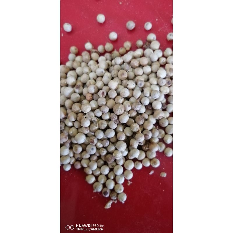 Jual Lada putih/Merica Bulat 50 Gram | Shopee Indonesia