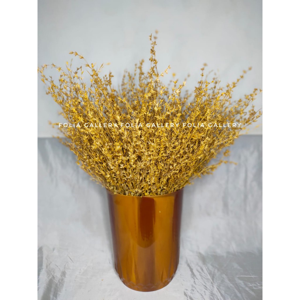 Jual FG-15 PCS RUMPUT KERING WARNA KUNING/Hiasan Buket Bunga Kering ...