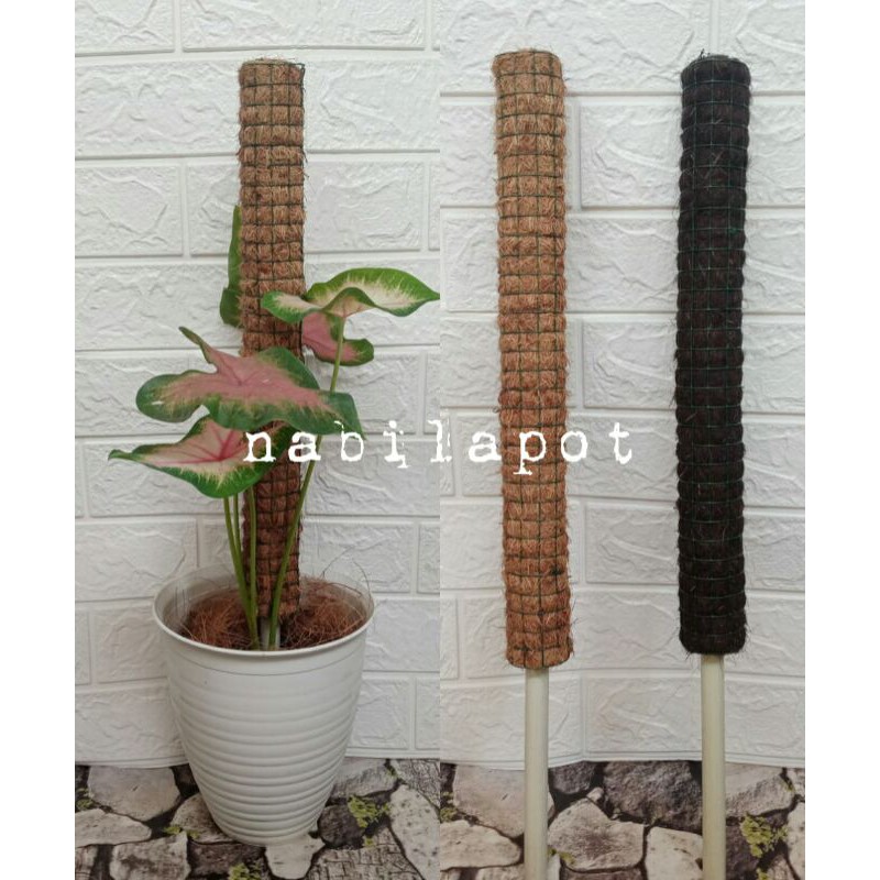 Jual turus penyangga tanaman / turus sabut kelapa 59cm | Shopee Indonesia