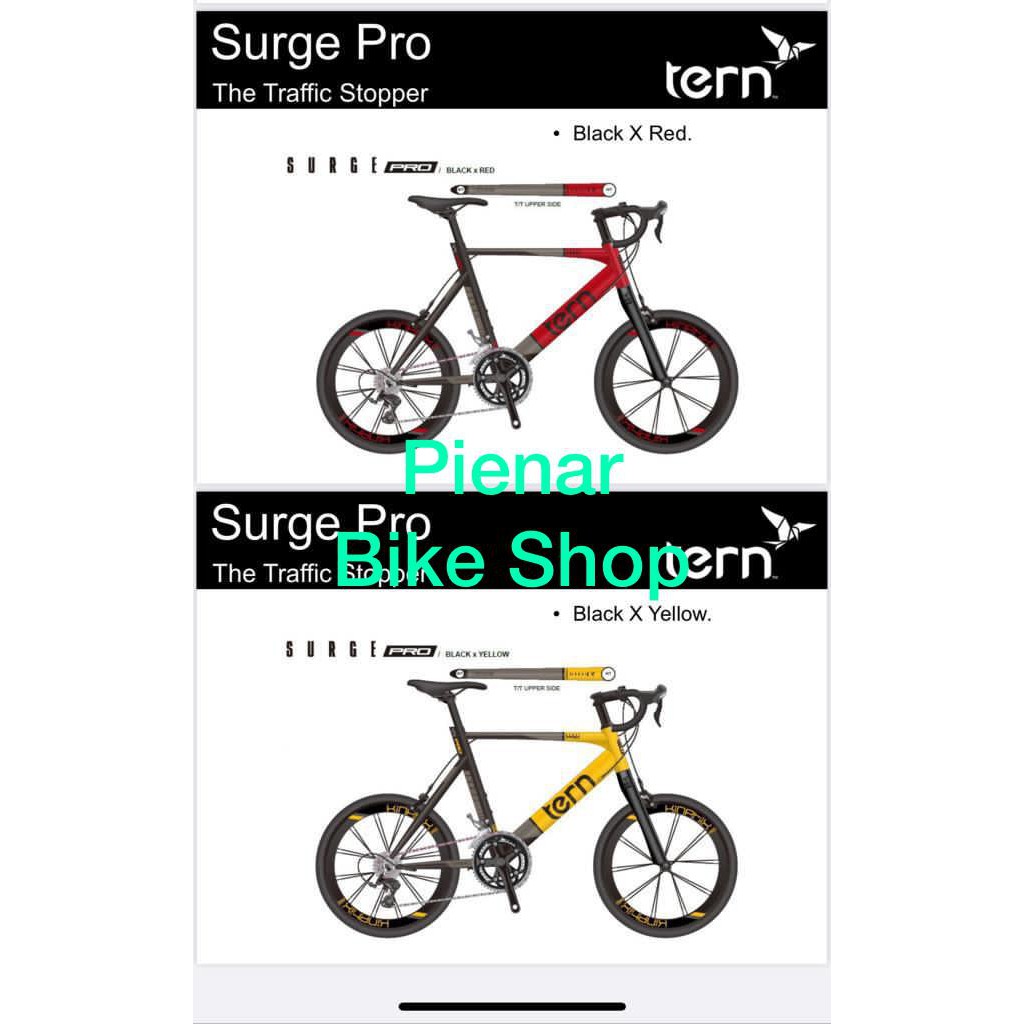 Jual SEPEDA MINIVELO TERN SURGE PRO | Shopee Indonesia