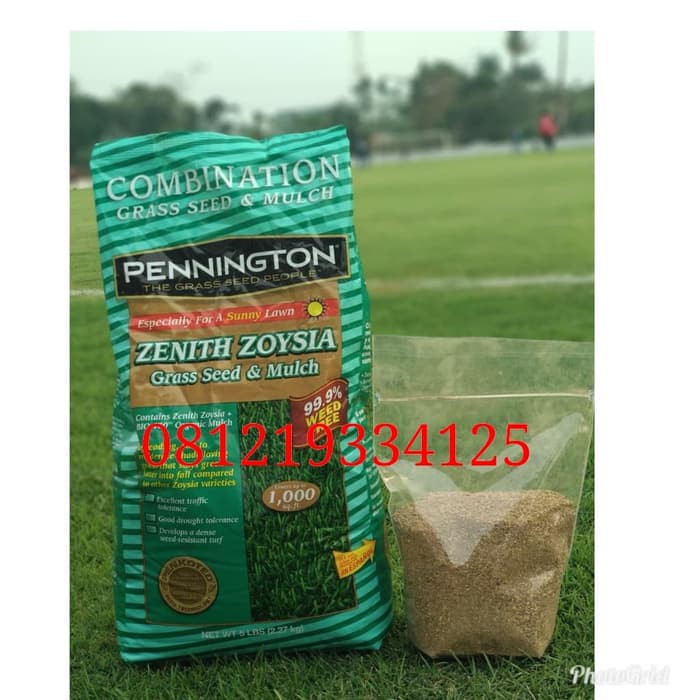 Jual benih rumput manila jepang-benih rumput zoysia materella | Shopee ...