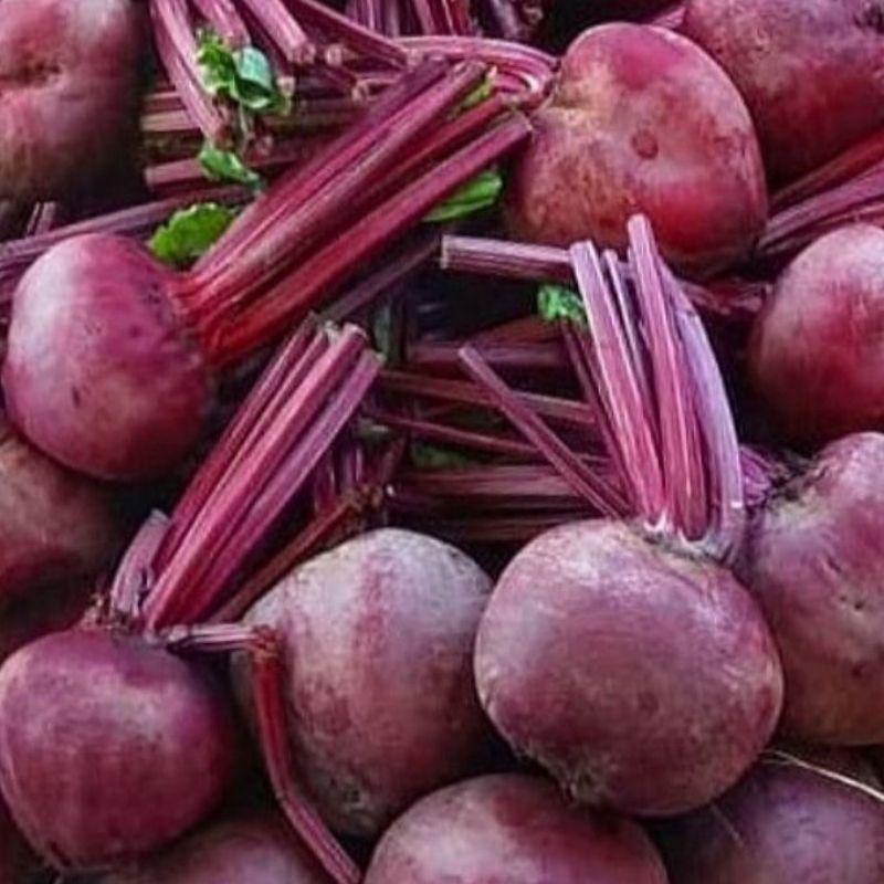 Jual Buah Bit Beetroot Segar Fresh 1Kg | Shopee Indonesia