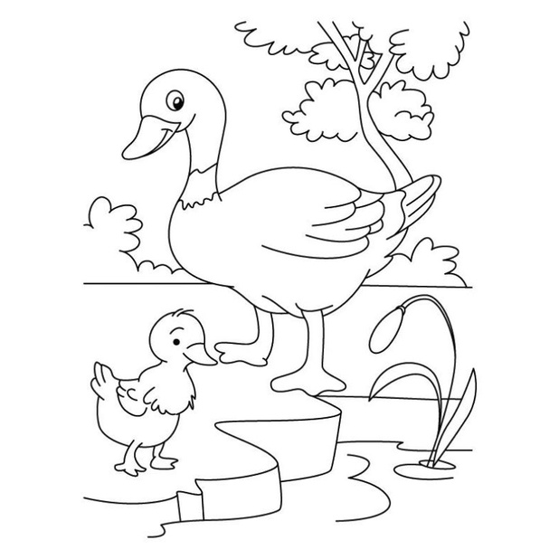 Jual Gambar Mewarnai Bebek A4 Untuk Melatih Kreatifitas Anak | Shopee ...