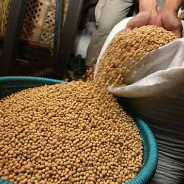 Jual Kedelai import | Shopee Indonesia