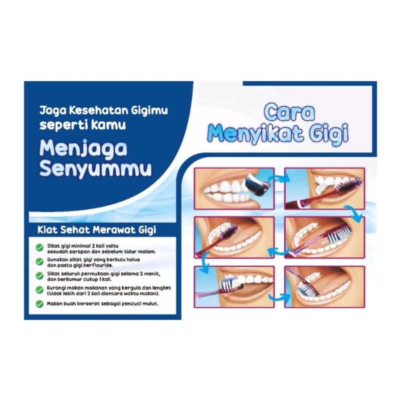 Jual Poster Kesehatan | Poster Cara Menyikat Gigi Dengan Benar | Shopee ...