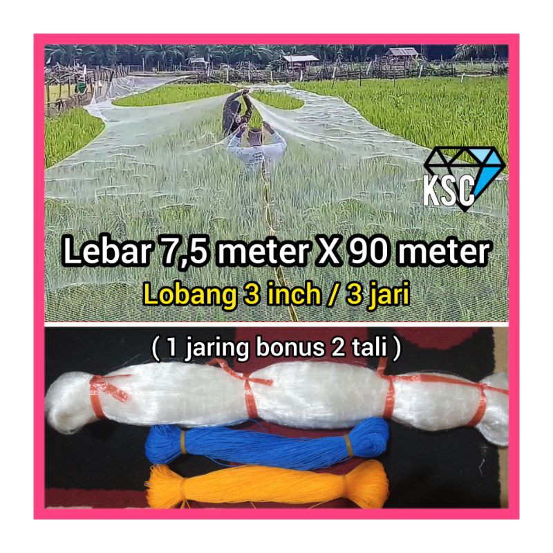 Jual JARING BURUNG 3 INCH /JARING PENUTUP SAWAH / JARING PADI / JARING SAWAH PETANI / JARING ...