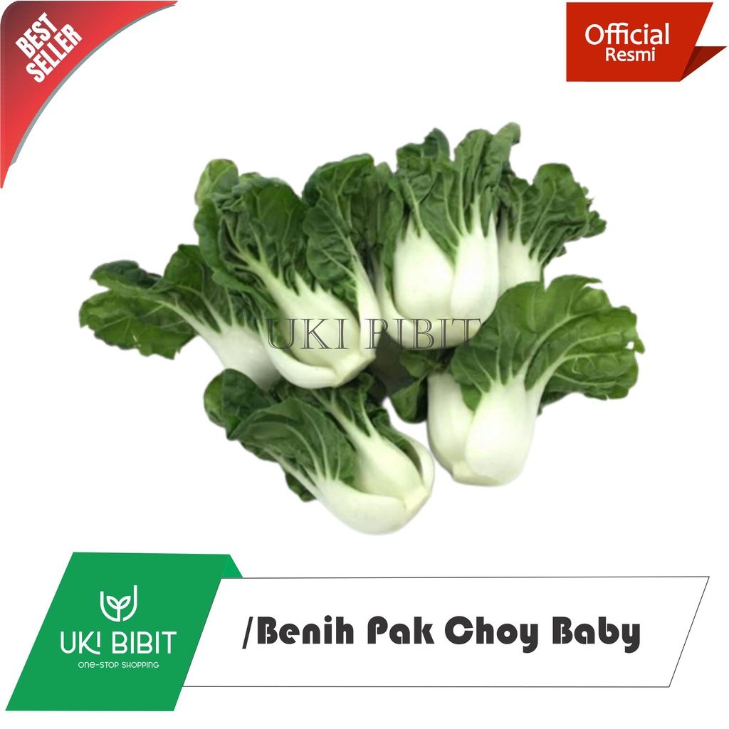 Jual ( 150 Butir ) Benih Pak Choy Baby REPACK | Shopee Indonesia
