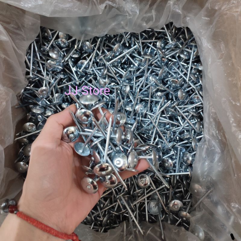 Jual PAKU SENG 2 INCH KILOAN 250gram , 500gram | Shopee Indonesia
