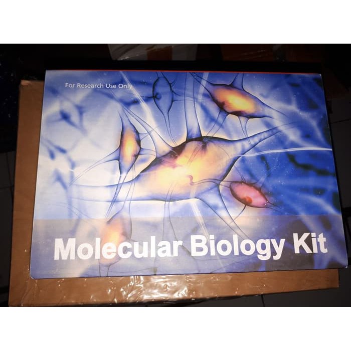 Jual EZ-10 Spin Column DNA Gel Extraction Kits Bio Basic | Shopee Indonesia