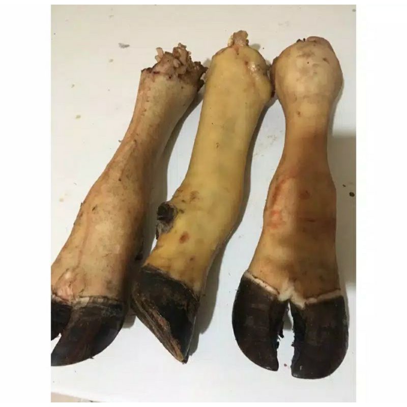 Jual Tunjang kaki/kaki sapi | Shopee Indonesia