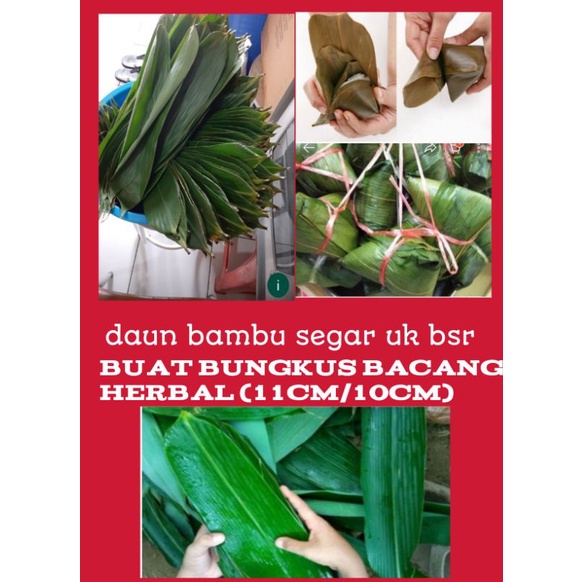 Jual DAUN BAMBU SEGAR JUMBO HERBAL/B BACANG100LEMBAR | Shopee Indonesia