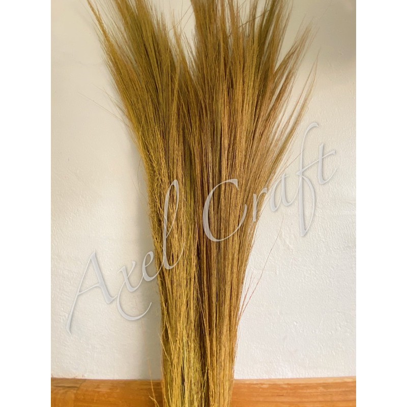 Jual Bunga Pampas Lokal / Bunga Kering rayung / Bunga Kipas | Shopee ...