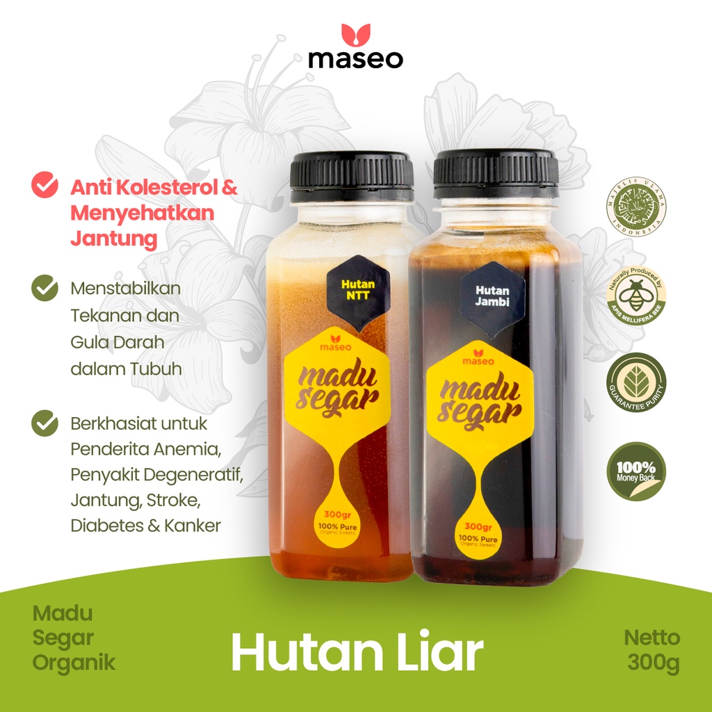 Jual Madu Hutan Liar Maseo 300gr | Madu Murni Madu Asli Segar Organik ...