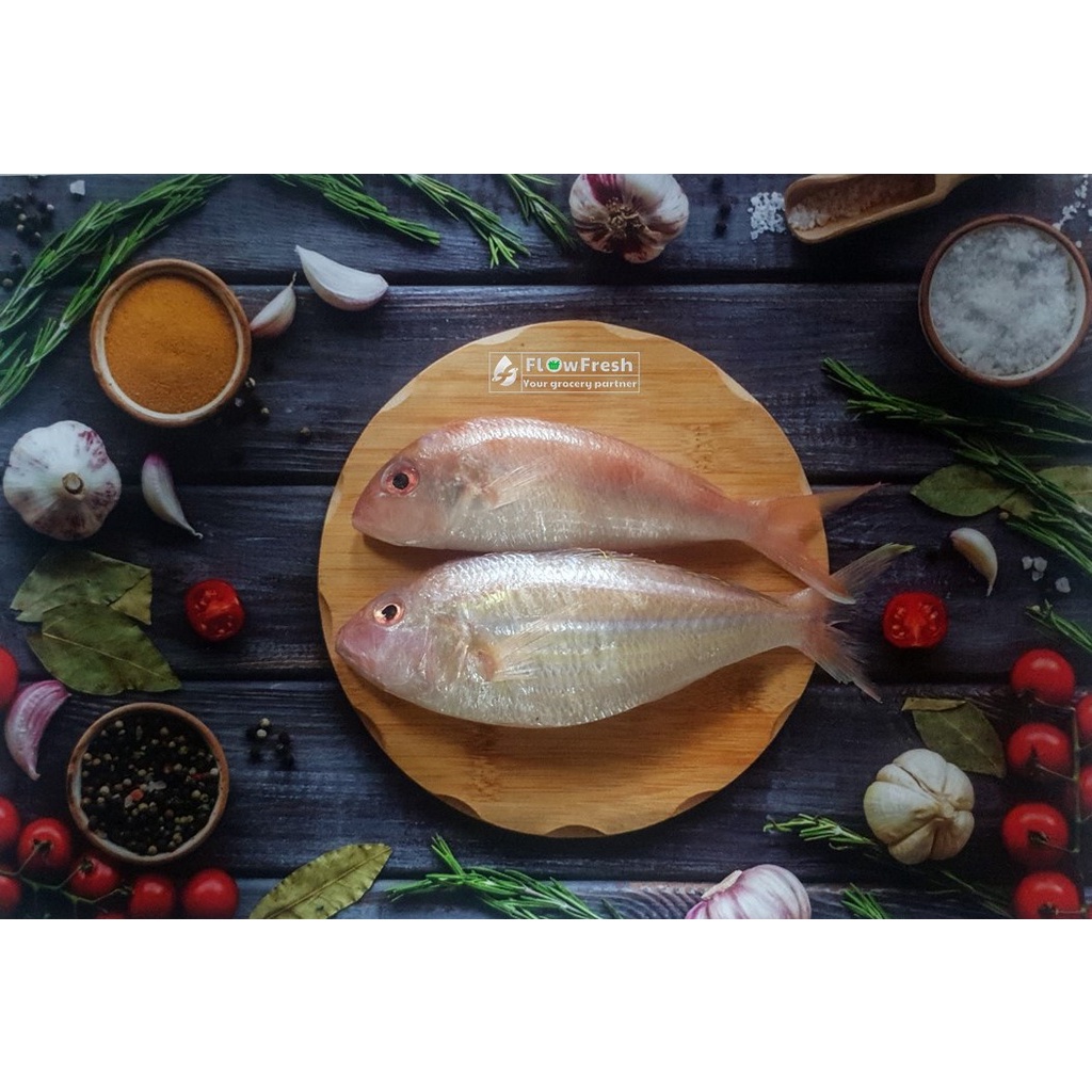Jual Ikan Kurisi | Shopee Indonesia