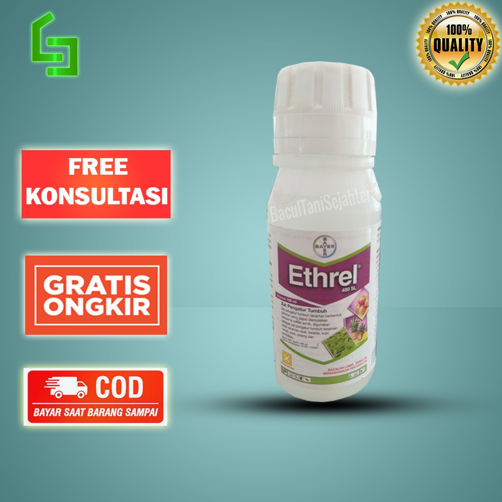 Jual Ethrel 480 SL 100 ML Zat Pengatur Tumbuh Hormon tanaman Pematang ...