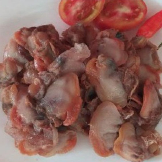 Jual daging kerang dara 1 pack 250 gram frozen | Shopee Indonesia