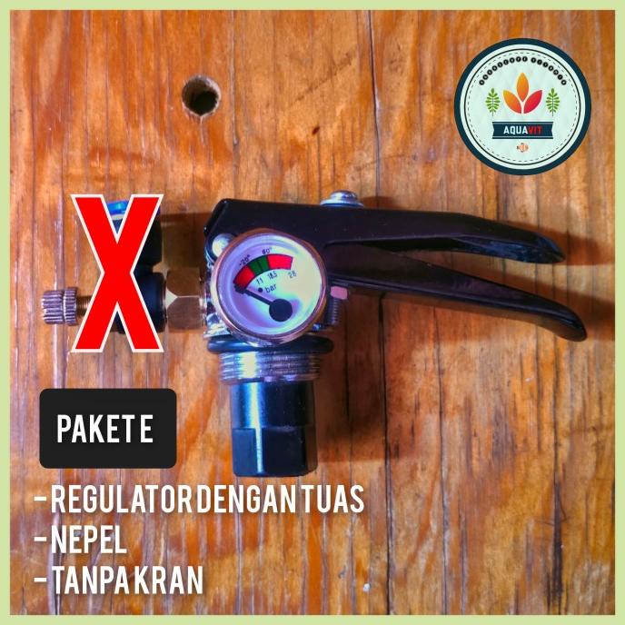 Jual Regulator Apar Co2 Diy 1Kg | Shopee Indonesia