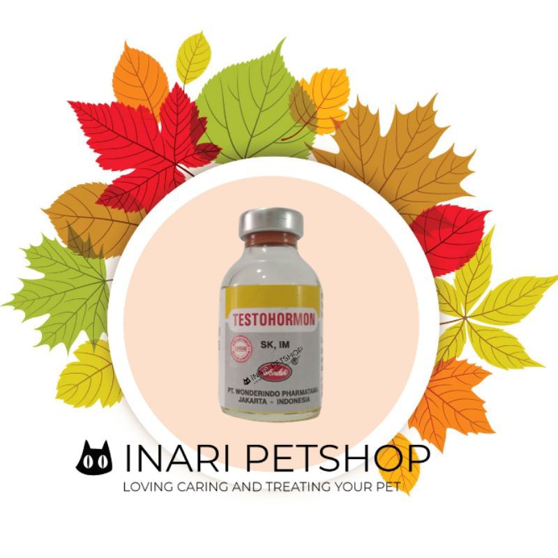 Jual TESTOHORMON OBAT PERANGSANG BIRAHI HEWAN JANTAN AMPUH KELINCI ...