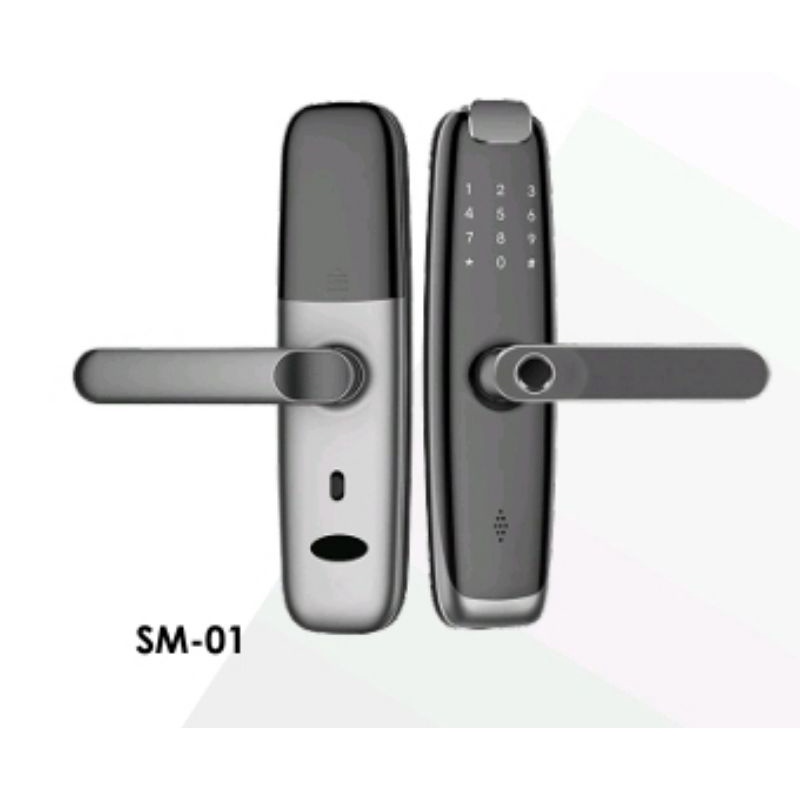 Jual Handle pintu elektrik / handle pintu electric / handle pintu korea ...