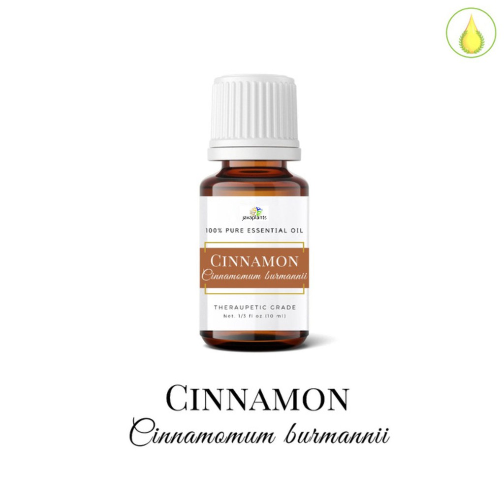 Jual Minyak Atsiri Kayu Manis 10 ml Cinnamon Bark Essential Oil Cinnamomum burmanii | Shopee ...
