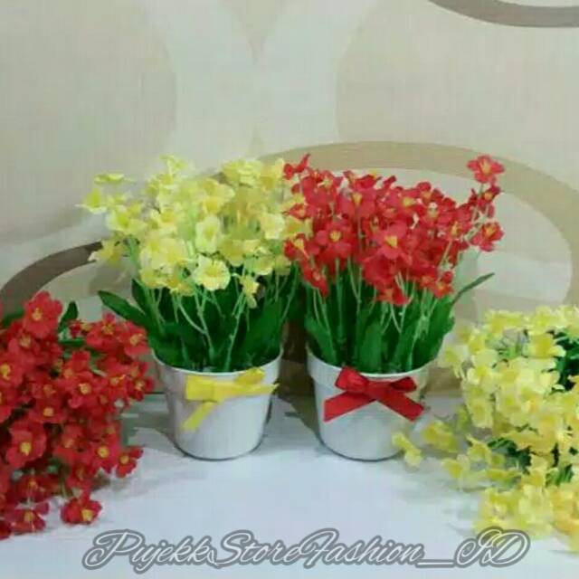 Jual Bunga lucu cantik imut forget me not dekorasi rumah | Shopee Indonesia