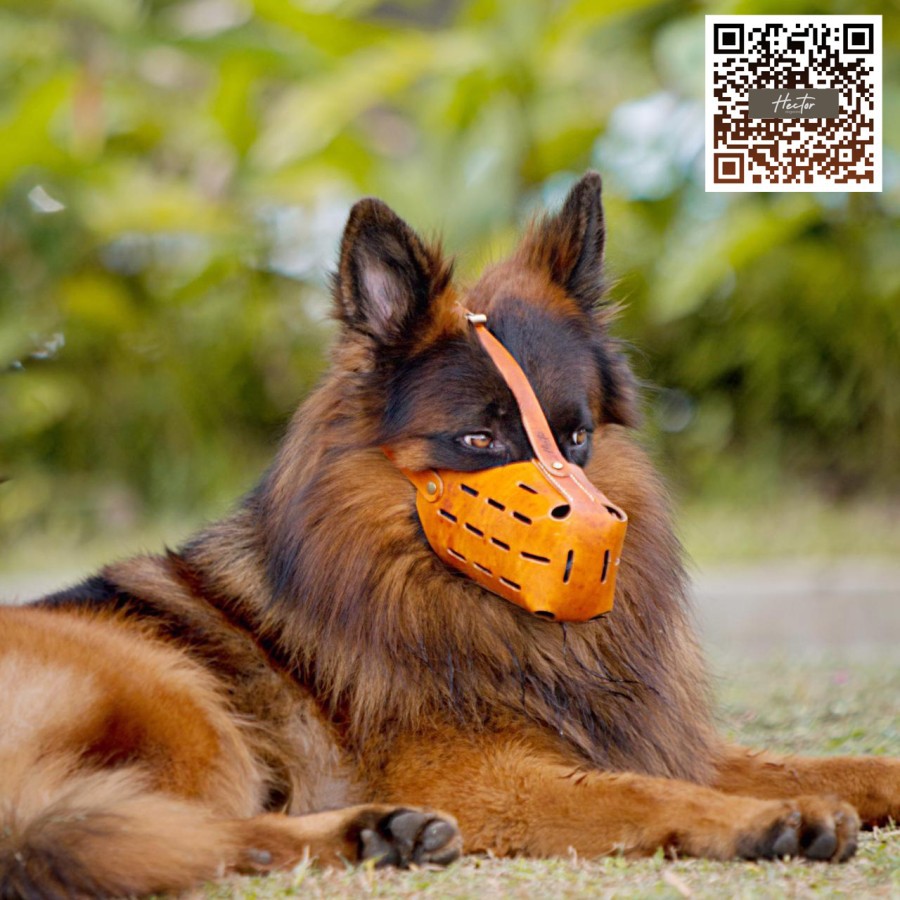 Jual HECTOR Zevellin 100% Leather Dog Muzzle Brongsong Brangus Masker ...