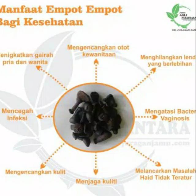 Jual (Jogja) JJ 50 gr 25 gr Empot ayam hitam putih biang asli mpot-mpot ...
