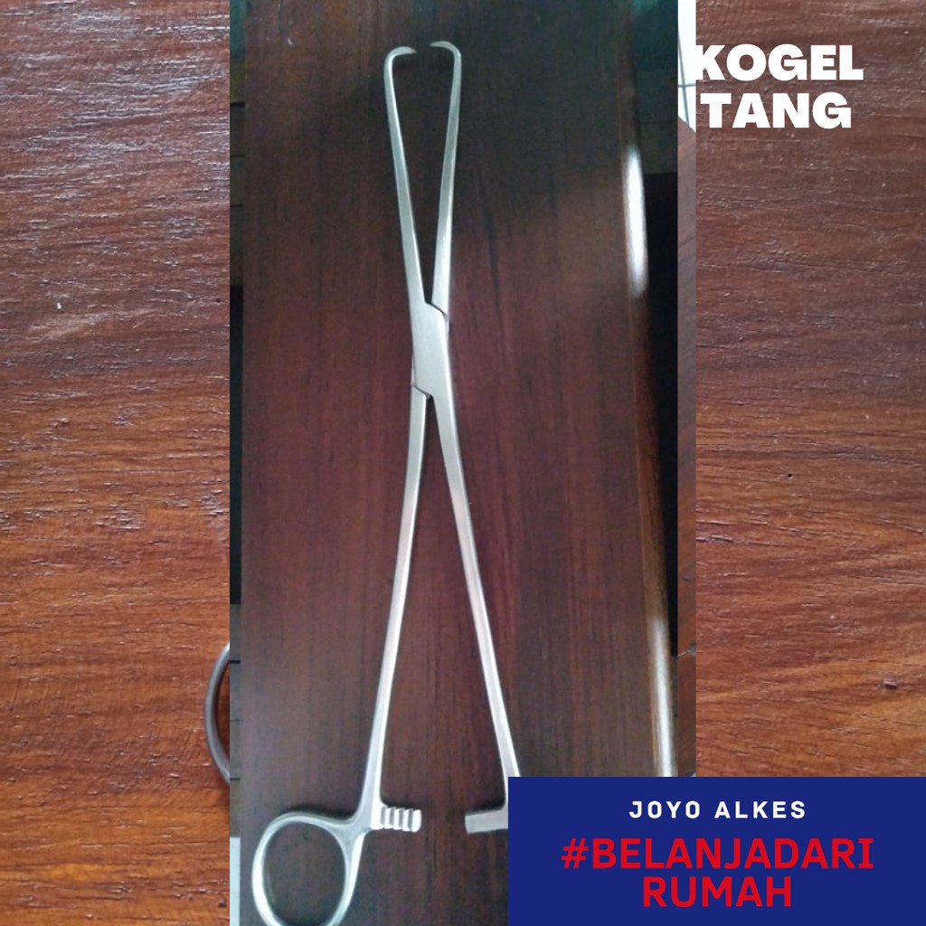 Jual Kogel Tang / Instrumen Pengangkat Bagian, Jaringan Tubuh, Benda ...