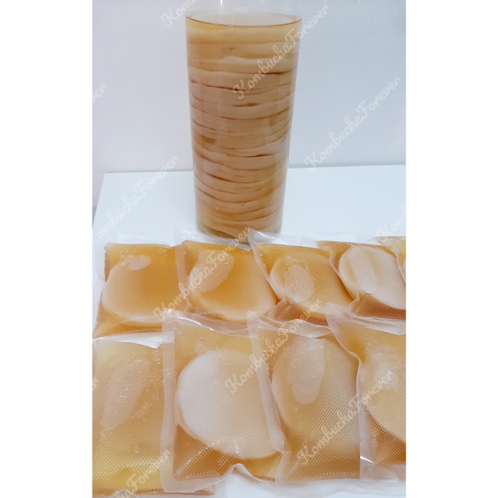 Jual LAINNYA-KEMASAN-MINUMAN- BIBIT SCOBY JAMUR KOMBUCHA PREMIUM ...
