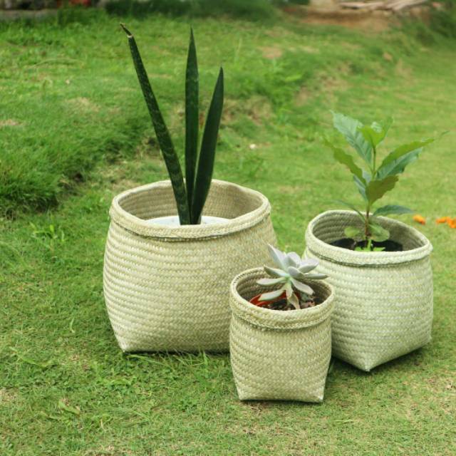 Jual Pot Bunga Anyaman Serat Alam Etnik - Anyaman Kombuik | Shopee ...