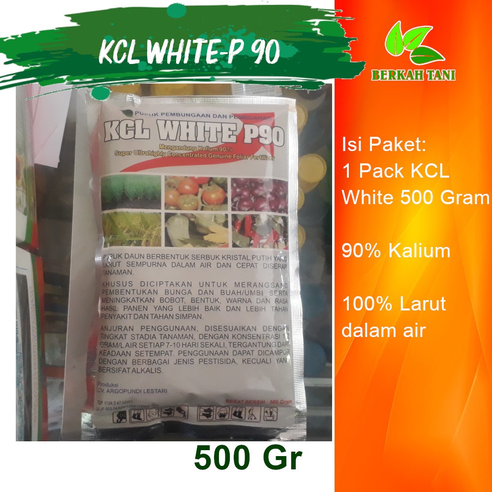 Jual KCL White P90 500 gram Pupuk Daun dan Buah | Shopee Indonesia